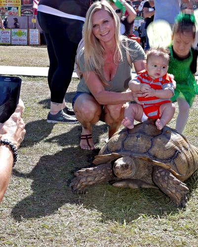 Annual Cooter Festival returns to Inverness | Local News ...