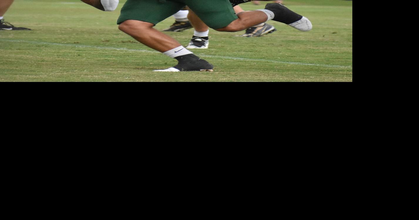 Pirates, Panthers face pivotal district matchups | Local Sports ...