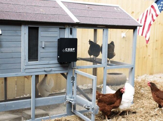 Technology available to help chicken farmers with security | Local News ...