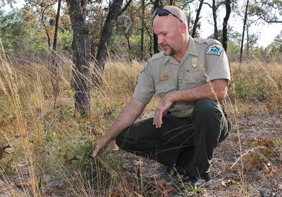 Dream come true | Local News | chronicleonline.com