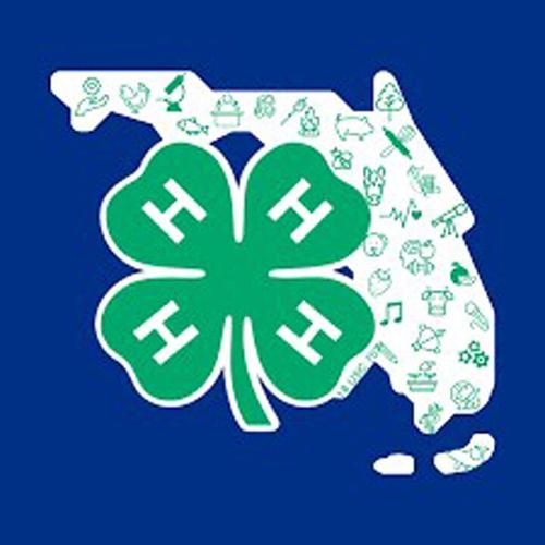 Making a difference every day: 4-H is for everyone | Local News ...