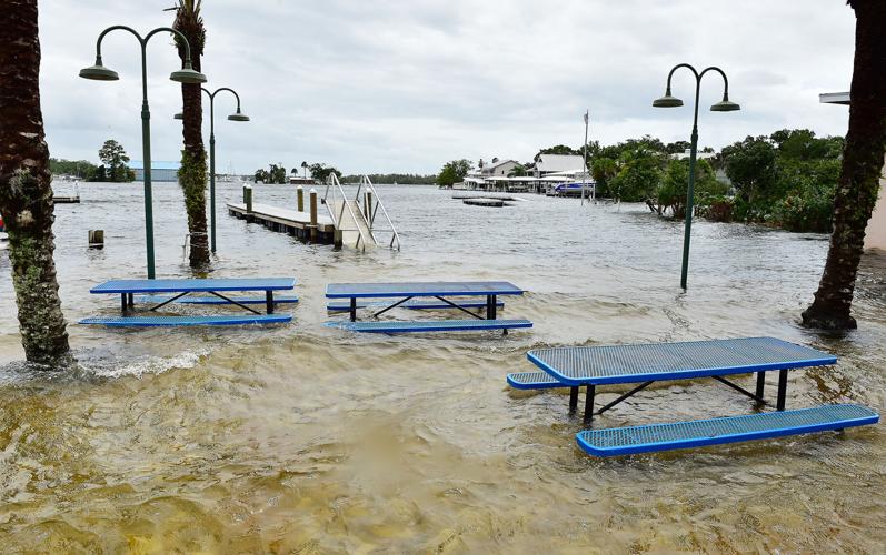 Hurricane Debby aftermath | Local News | chronicleonline.com