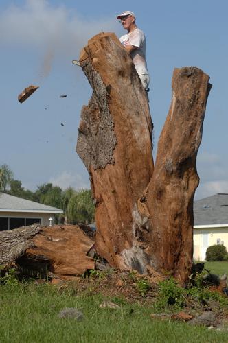 A cut above | News | chronicleonline.com