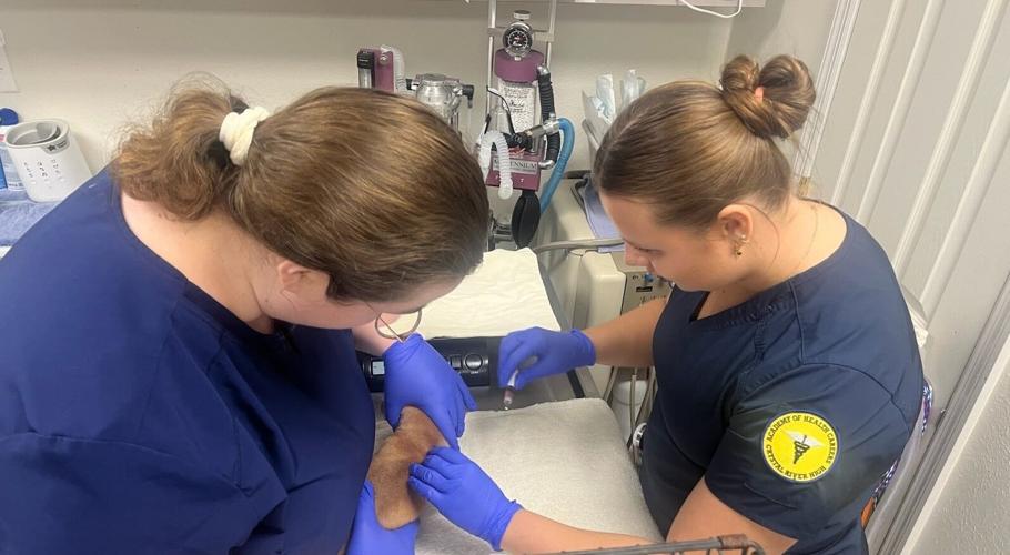 ‘100 percent success’ — The first graduating class of AHC Veterinary ...