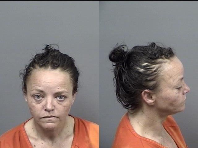 Citrus County mugshots from May 17 to 29 | Crime & Courts ...