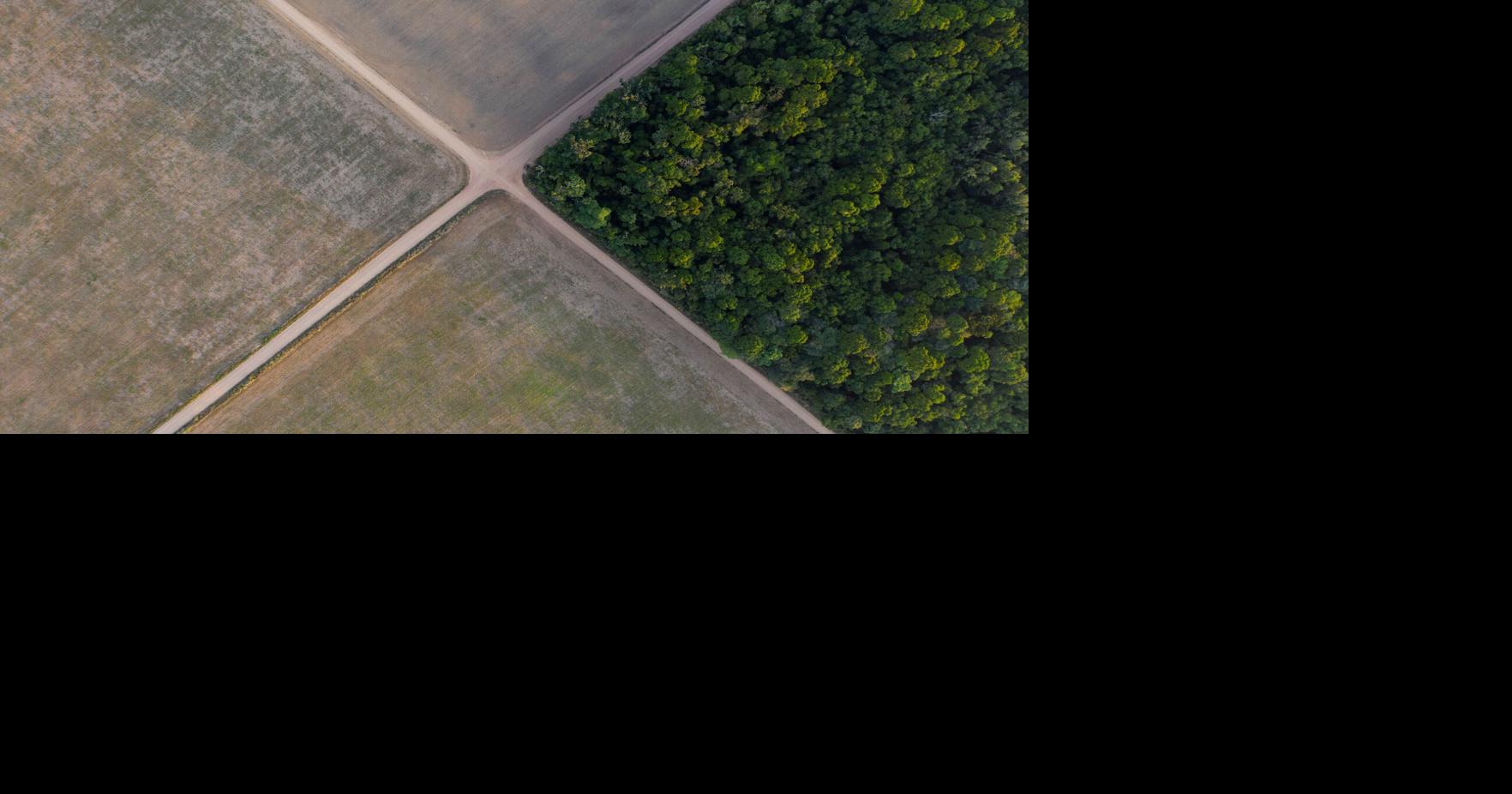 Brazil soy industry’s exit from moratorium on using Amazon land could ...