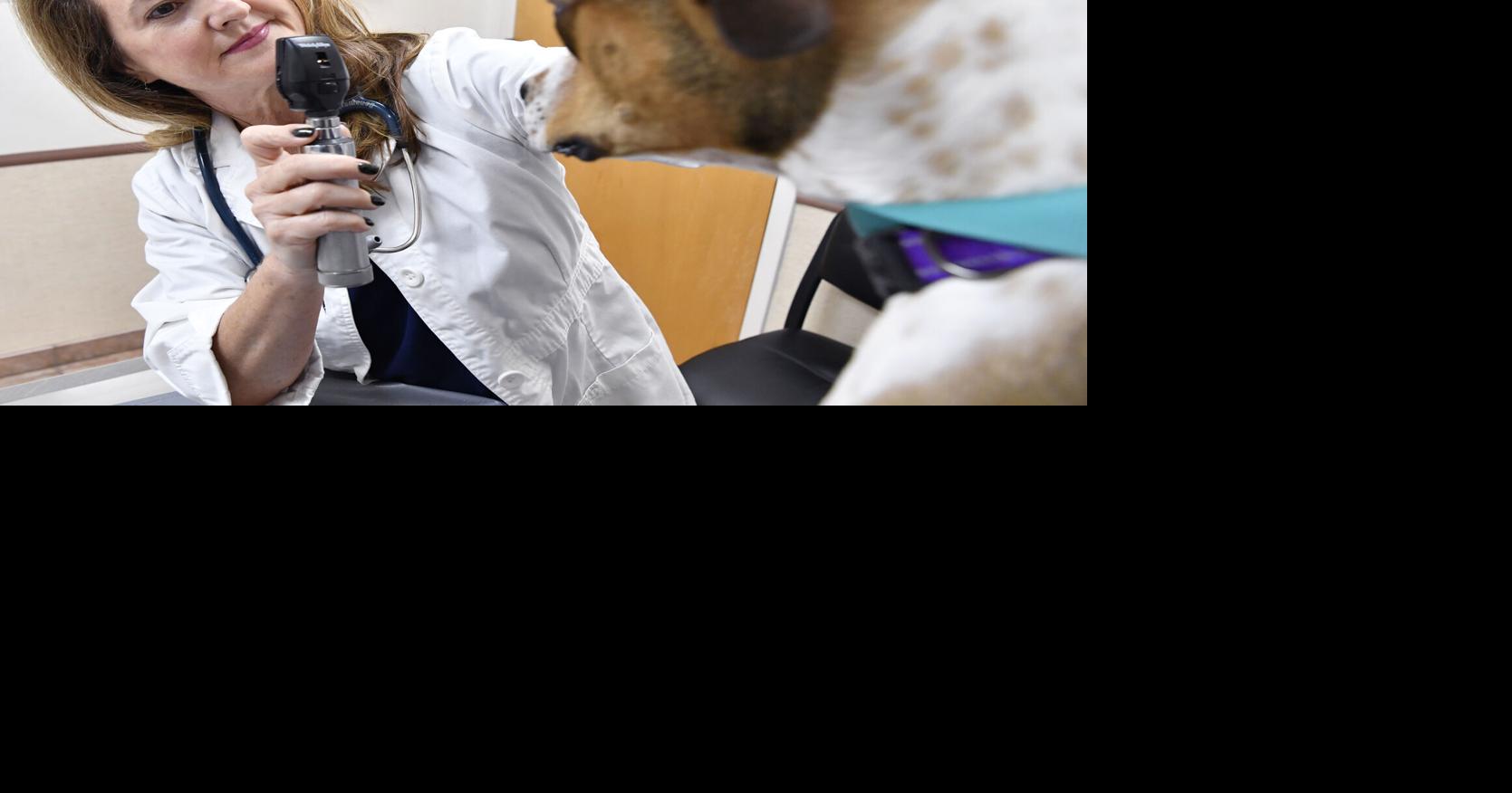 ‘Veterinarian at heart’ — Former owner of Midway Animal Hospital ...