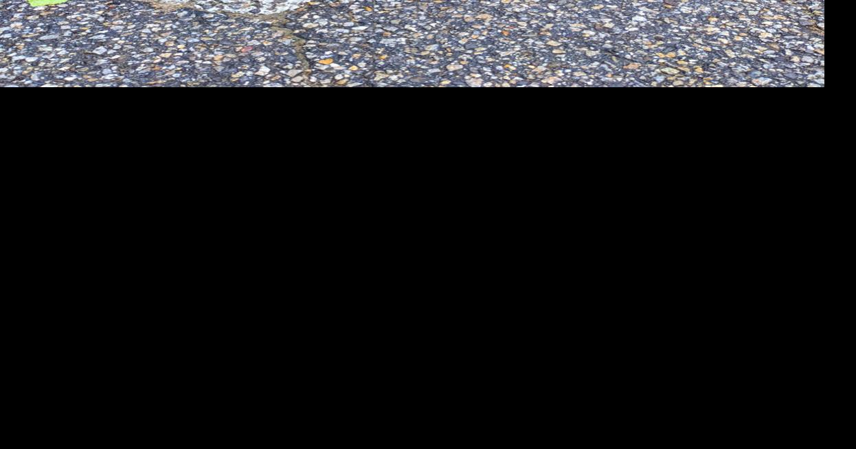 Ask the Builder: Blacktop patching, sealing and tidbits | Home and ...