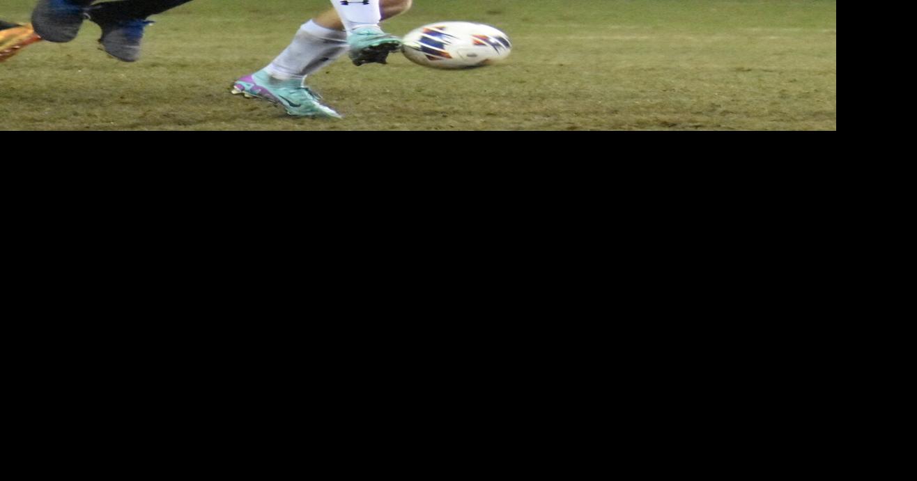 Hurricanes rally to tie Panthers, 2-2 | Sports | Citrus County ...