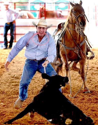 Citrus Stampede Rodeo | Local News | chronicleonline.com