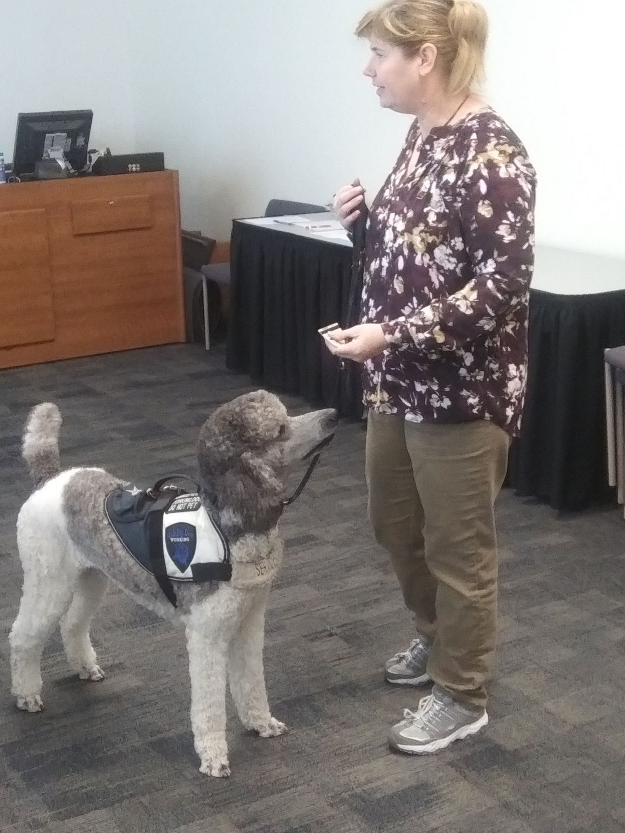 Business owners learn how to deal with service dogs | Local News ...
