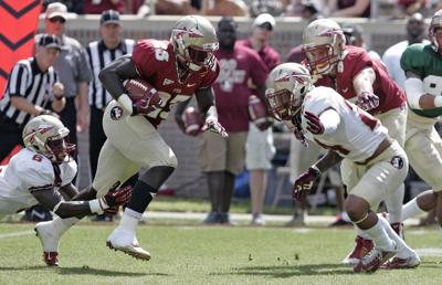 Winston, Garnet win Noles' spring showcase | Sports | Citrus County ...