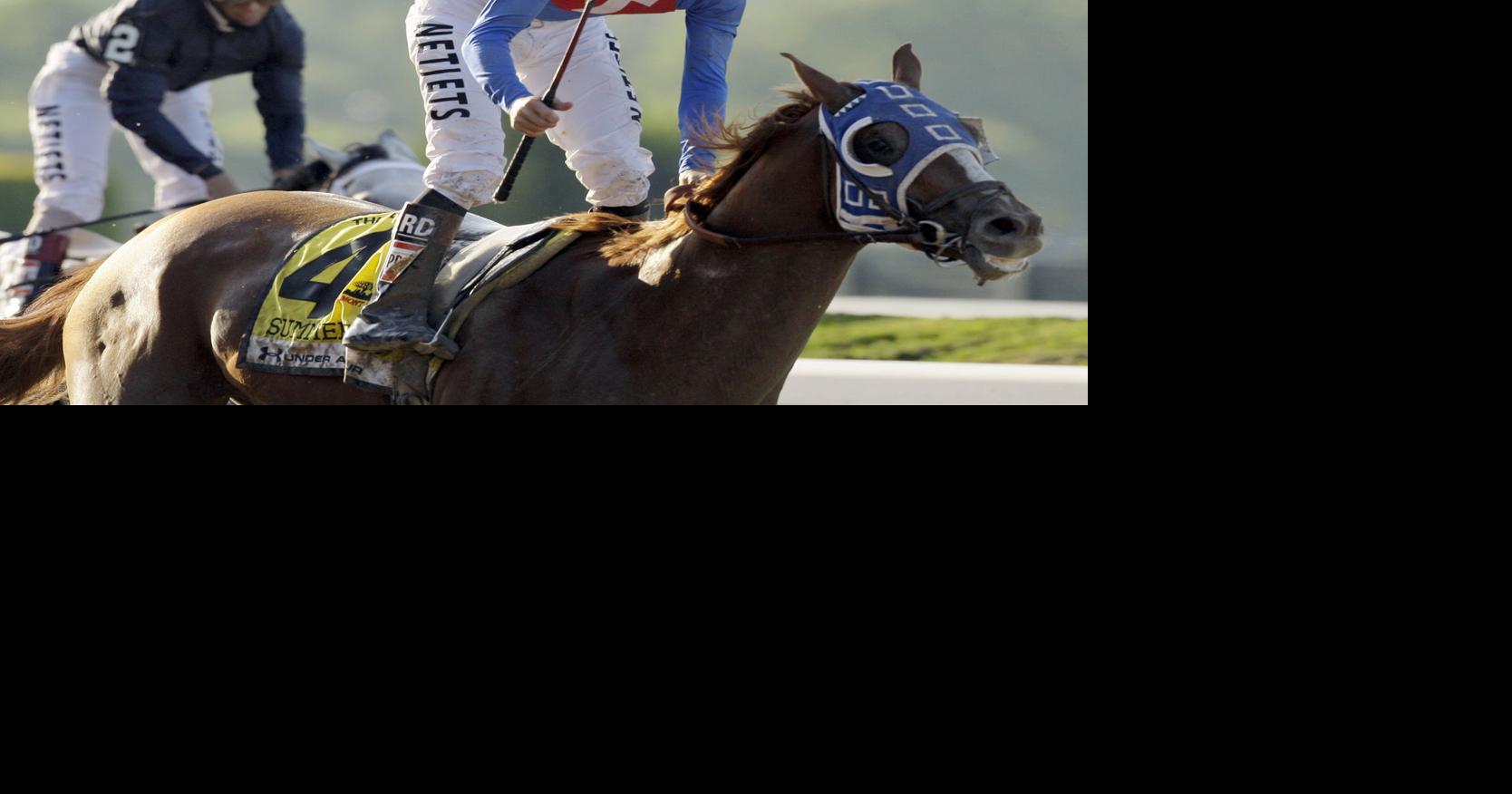 Bird of a different feather | Sports | Citrus County Chronicle ...