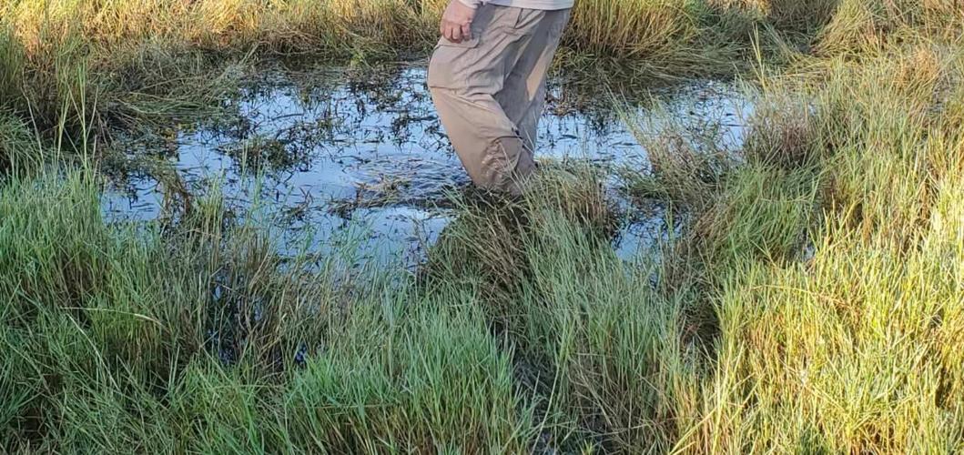 Wetlands: A warning sign we should not ignore | Columnists ...
