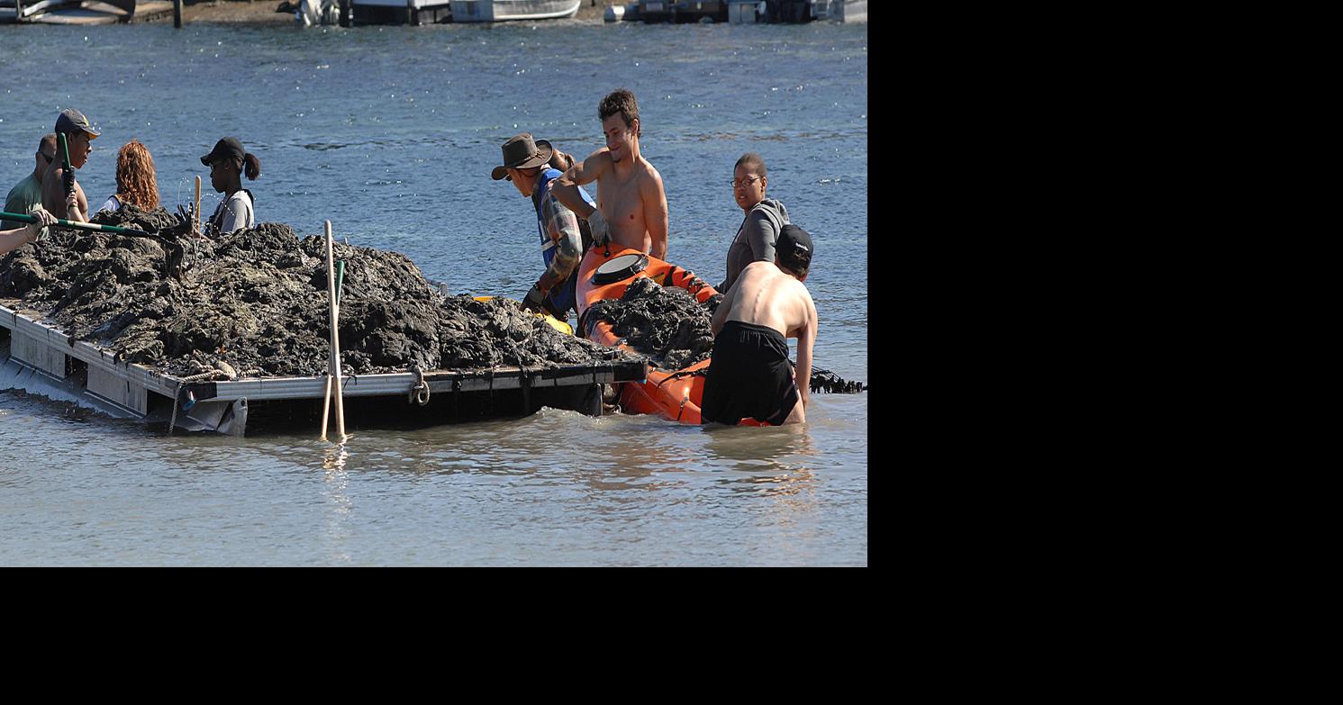 Monday muck raking | Local News | chronicleonline.com