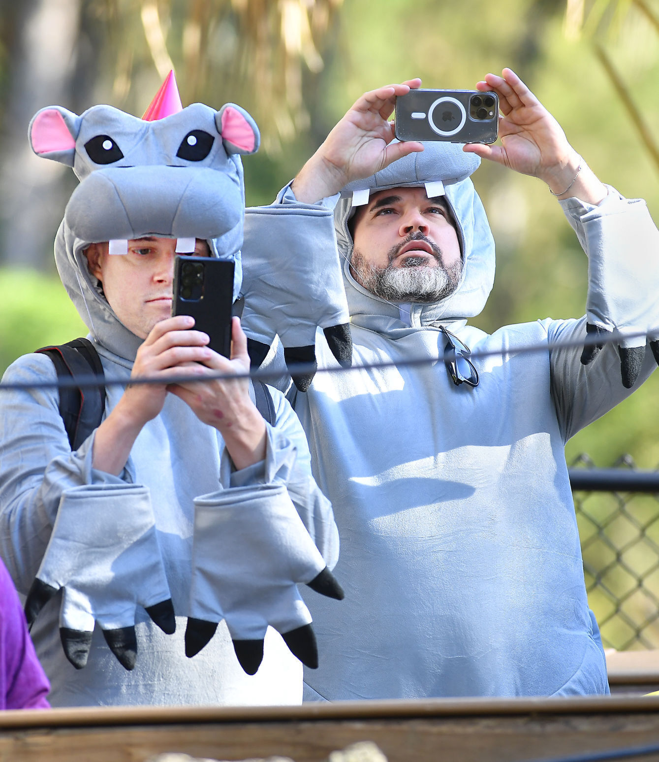 Farewell to Lu: Homosassa’s beloved hippo leaves generations of memories | Local News ...