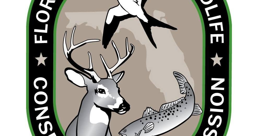 State park passes, FWC hunting and fishing licenses discounted through ...