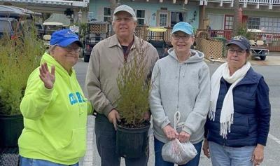 Cedar Key celebrates nation's first 2023 Arbor Day observance | Local ...