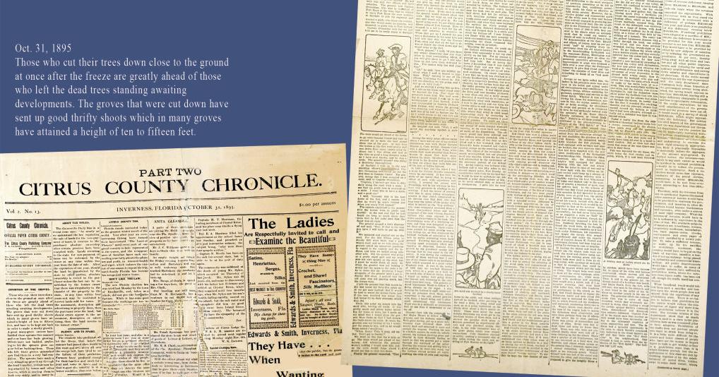 The Chronicle: 125 years of serving our community Infographics ...