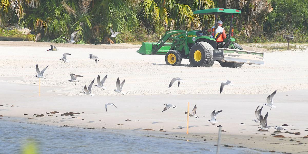 Beach still closed as county parks reopen | News | chronicleonline.com