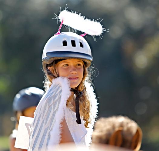 Pumpkins and ponies in Pine Ridge | Local News | chronicleonline.com