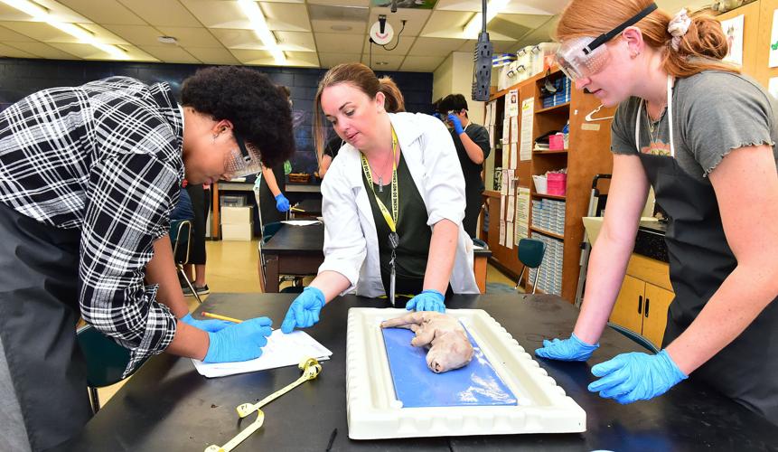 LHS teacher wins forensic science scholarship | Local News ...