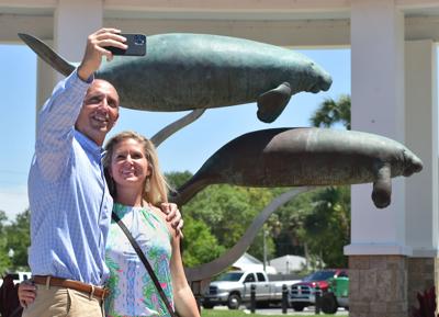 Crystal River erects mall's former manatee statue at city's town square ...