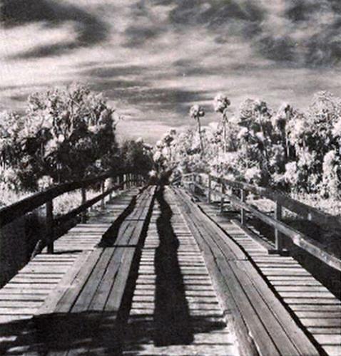 In 1940s, Halls River Bridge made of wood | Columnists ...