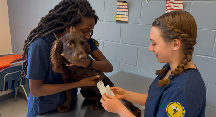 Happy CTE Month! — Celebrating Career and Technical Education; preparing students for tomorrow’s ...