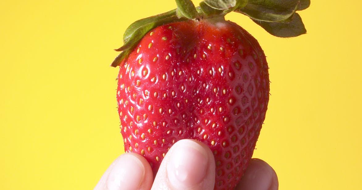 Ode to a red berry: Strawberry the main focus of annual Floral City ...