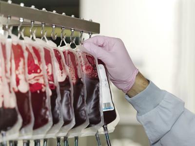 What happens to blood after it's donated? | Health | chronicleonline.com