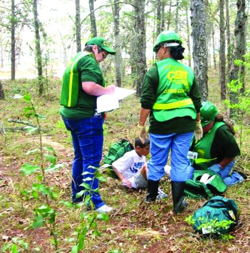 What is CERT? | Hurricane Guide | chronicleonline.com