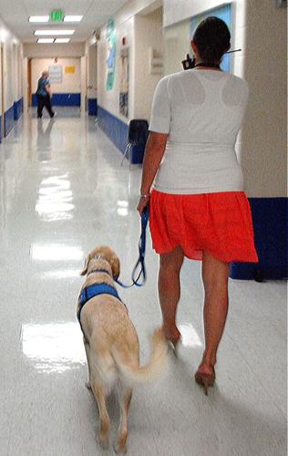 Puppy love | Education | chronicleonline.com