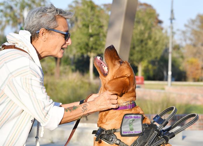 Nonprofit Spotlight: New Life Medical Service Dogs providing a ...