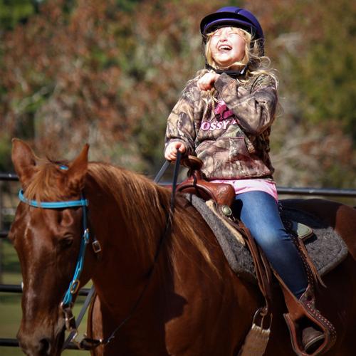 Take a tour of the Pine Ridge Equestrian Center | | chronicleonline.com
