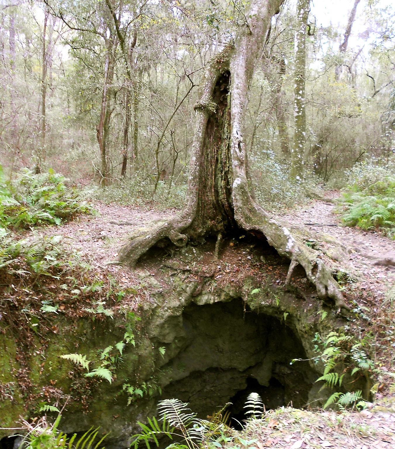 Top trails to trek in Citrus | | chronicleonline.com