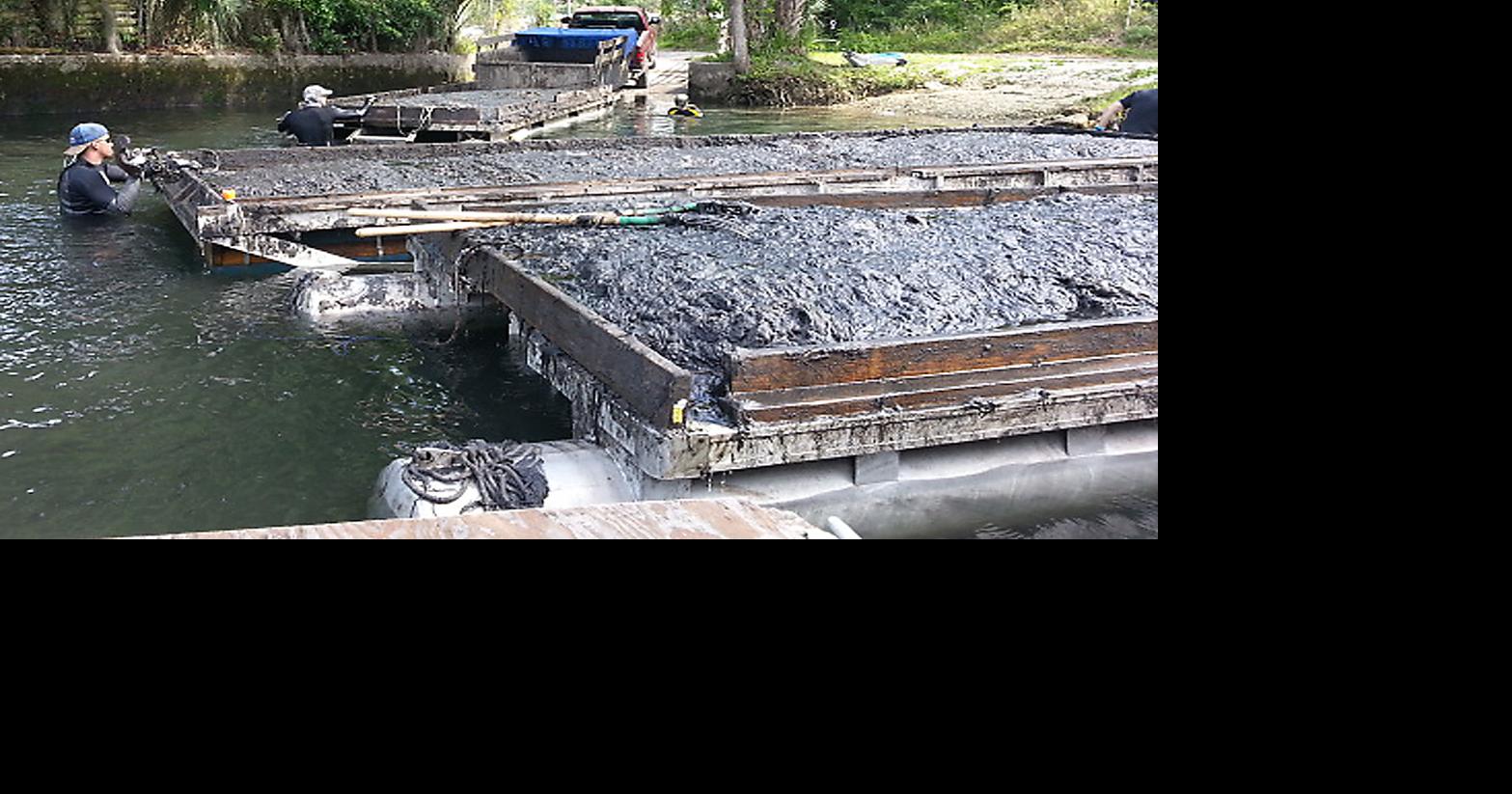 One Rake project puts grant money to good use | Local News ...