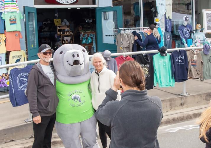 Celebrate the sea cow: 38th annual Florida Manatee Festival this ...