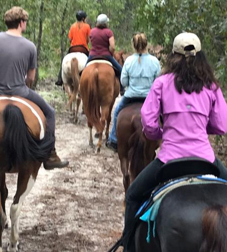 Take a tour of the Pine Ridge Equestrian Center | | chronicleonline.com