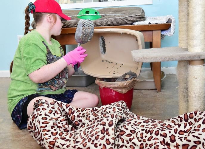 Nonprofit Spotlight: Precious Paws 'rescuing pets four paws at a time ...