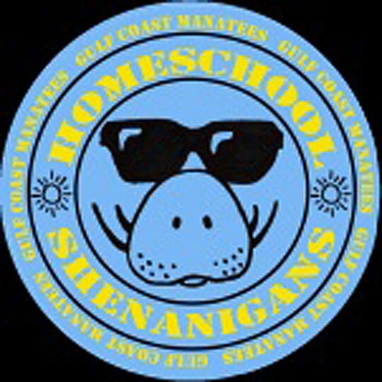 Exciting summer camps and activities on tap for homeschool kids ...