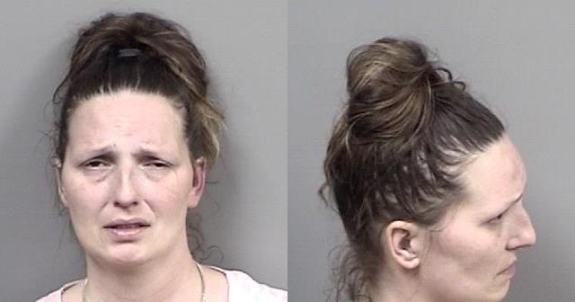Crystal River woman, 37, charged with DUI | Crime & Courts ...