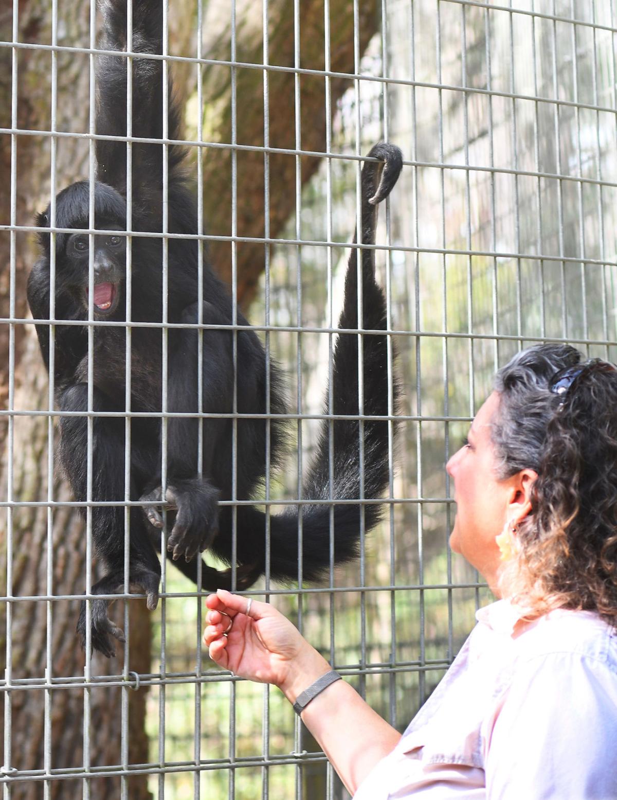 Forest Animal Rescue: A haven for the mistreated | Local News ...