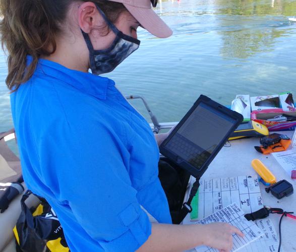 Water management district ups game on aquatic plant collections in ...