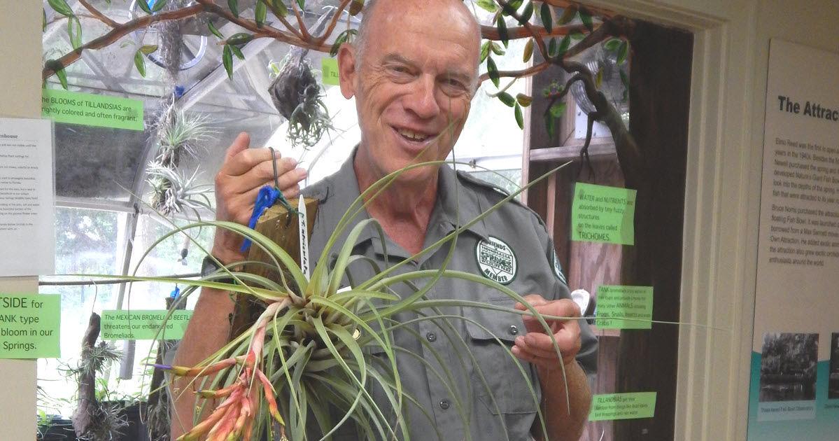 Wildlife park’s focus in May on wetlands and wildflowers ...