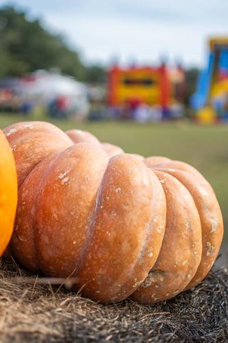 Cannon Farms concludes fall festivities this weekend | Local News ...