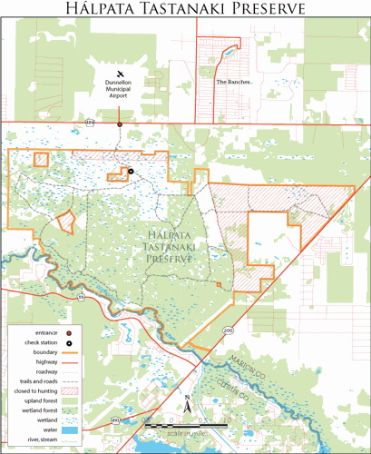 Water management district to open second phase of hog hunts Dec. 14 ...
