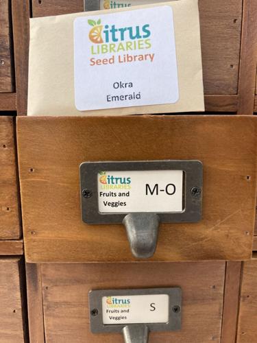 Citrus County libraries have free seeds at the ‘seed library’ | Local ...