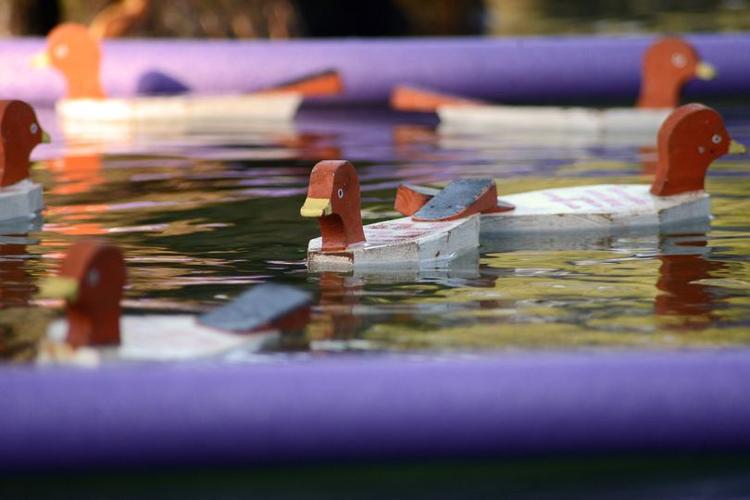 Adopt a duck to help local nonprofits | Local News | chronicleonline.com