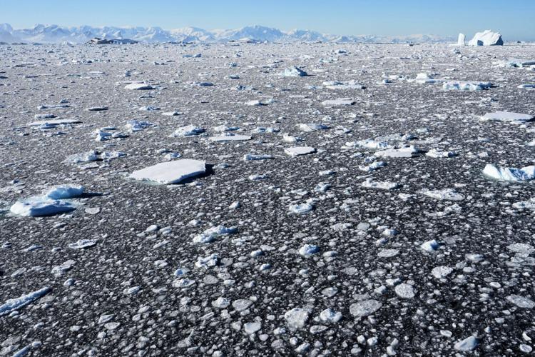 In Antarctica, photos show a remote area teeming with life amid growing ...